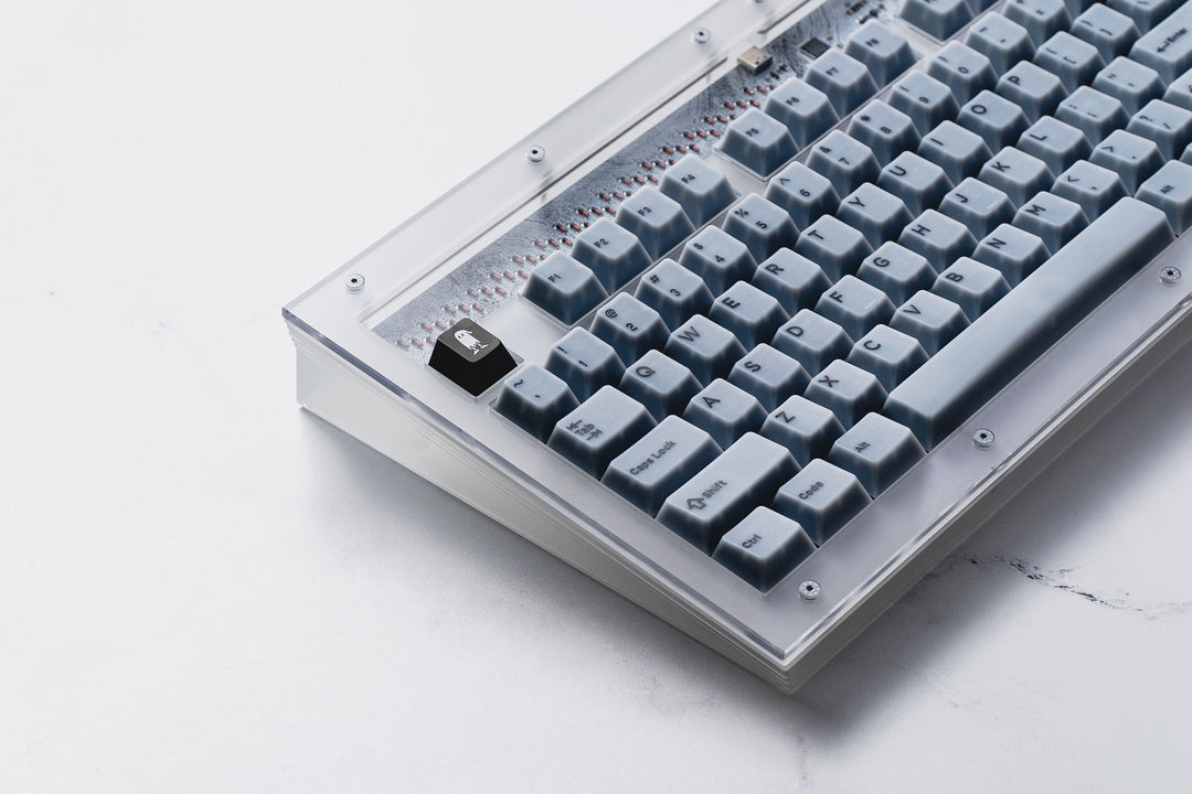 Collections – Protozoa Studio